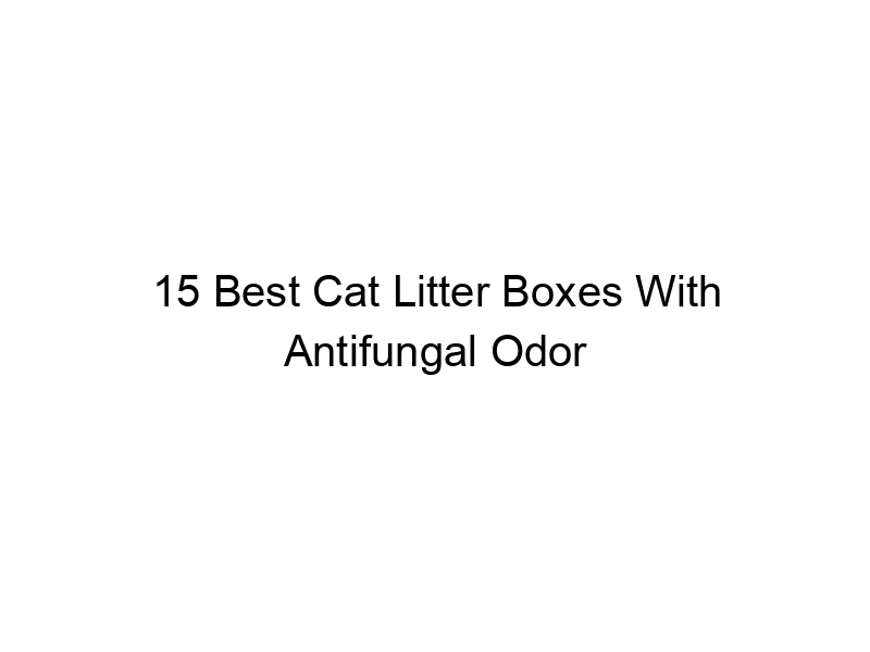 15 Best Cat Litter Boxes With Antifungal Odor Control Filters ...