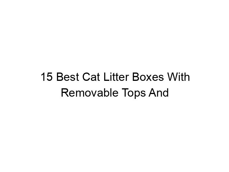 15 Best Cat Litter Boxes With Removable Tops And Bases - September 2025