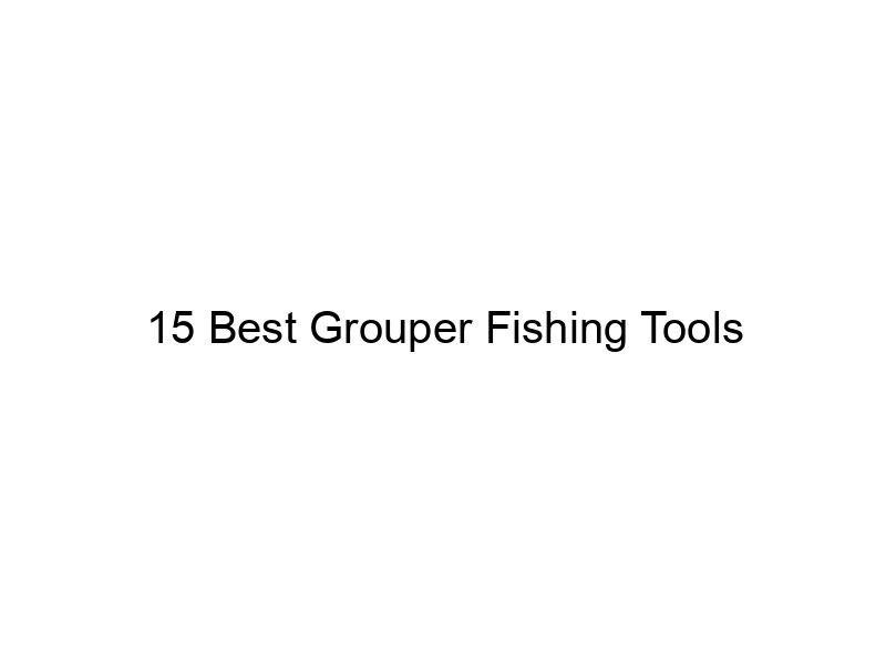 15 Best Grouper Fishing Tools - January 2025