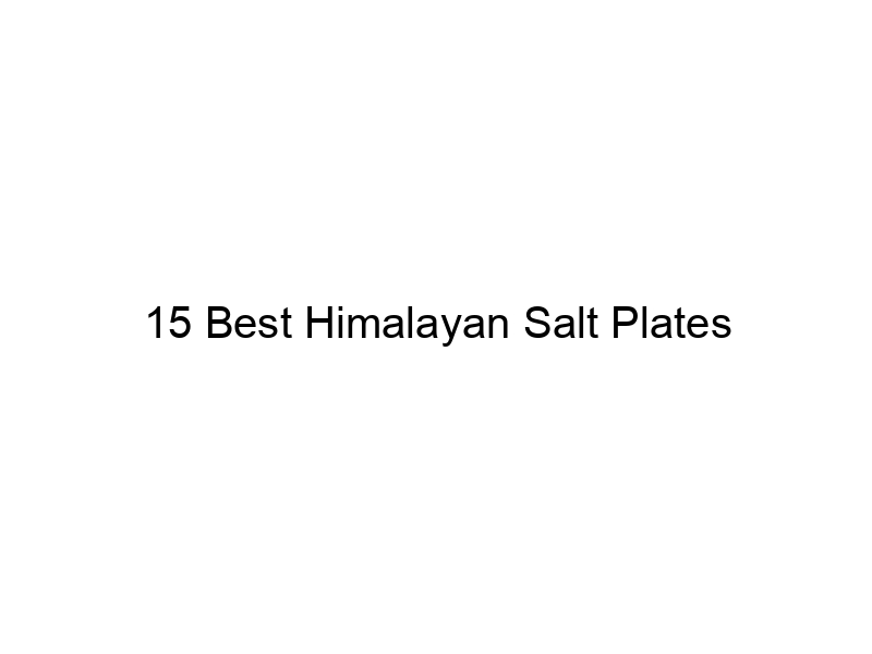15 Best Himalayan Salt Plates - December 2024