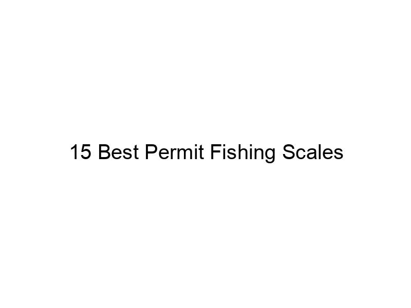 15 Best Permit Fishing Scales - September 2025