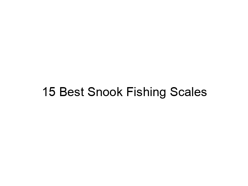 15 Best Snook Fishing Scales - March 2025