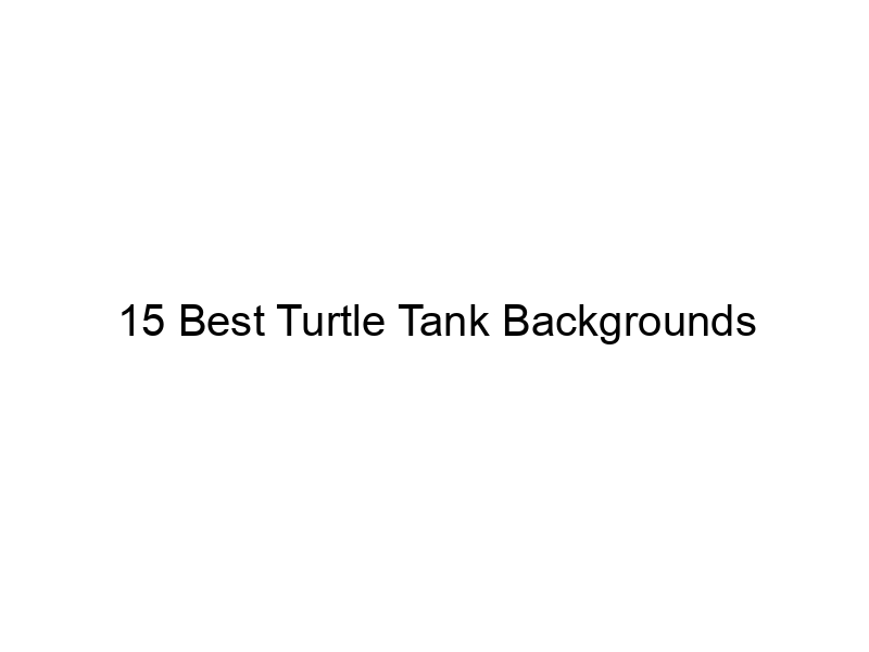 15 Best Turtle Tank Backgrounds - May 2025