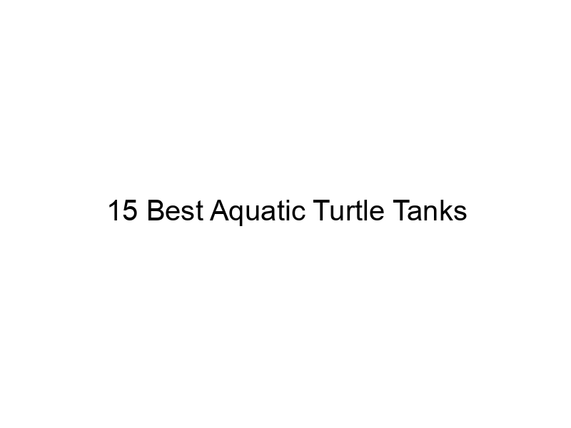 15 Best Aquatic Turtle Tanks - August 2025