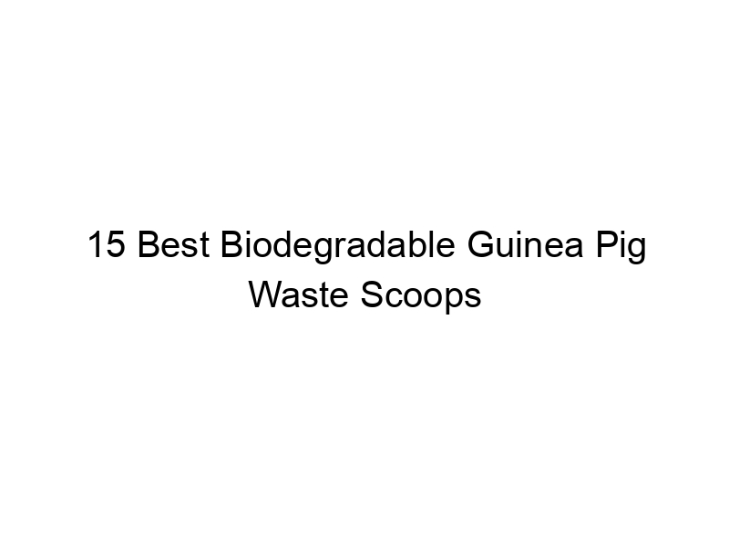 15 Best Biodegradable Guinea Pig Waste Scoops - August 2024