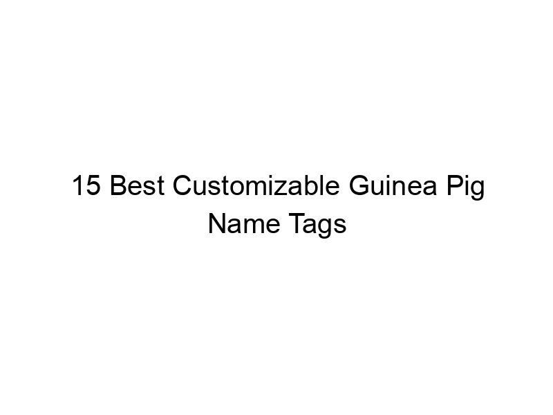 15 Best Customizable Guinea Pig Name Tags - May 2024