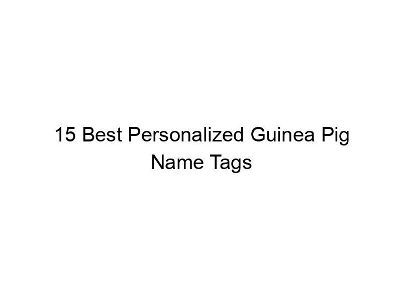 15 Best Personalized Guinea Pig Name Tags - December 2025
