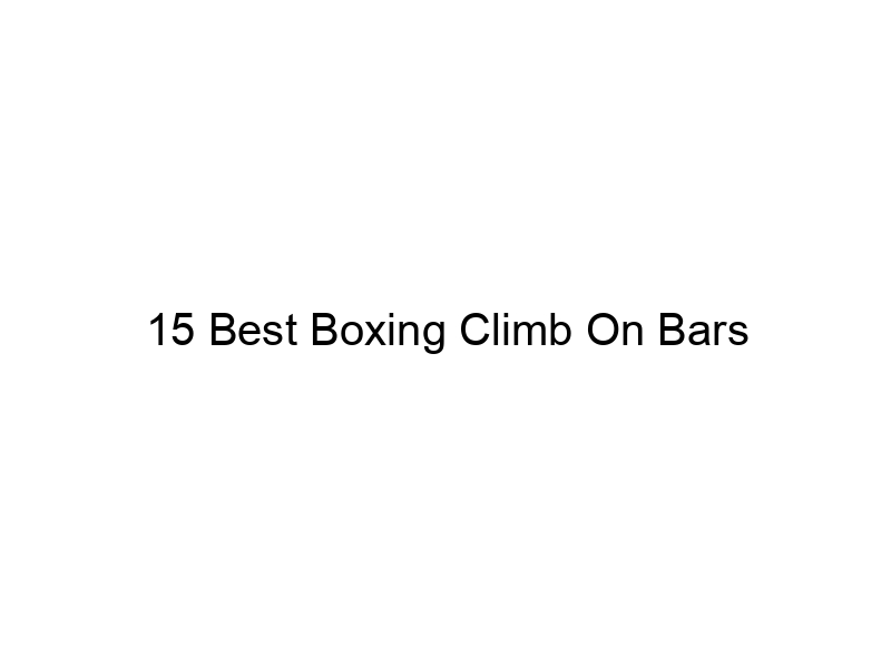 15 Best Boxing Climb On Bars - April 2025