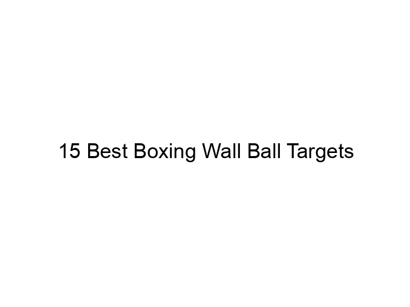 15 Best Boxing Wall Ball Targets - June 2024