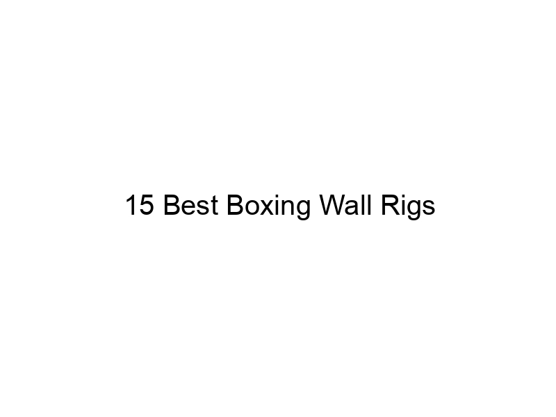 15 Best Boxing Wall Rigs - September 2025